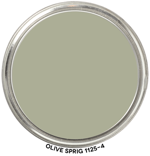 Olive Sprig 1125-4 by PPG Paints Expert SCIENTIFIC Paint Color Review